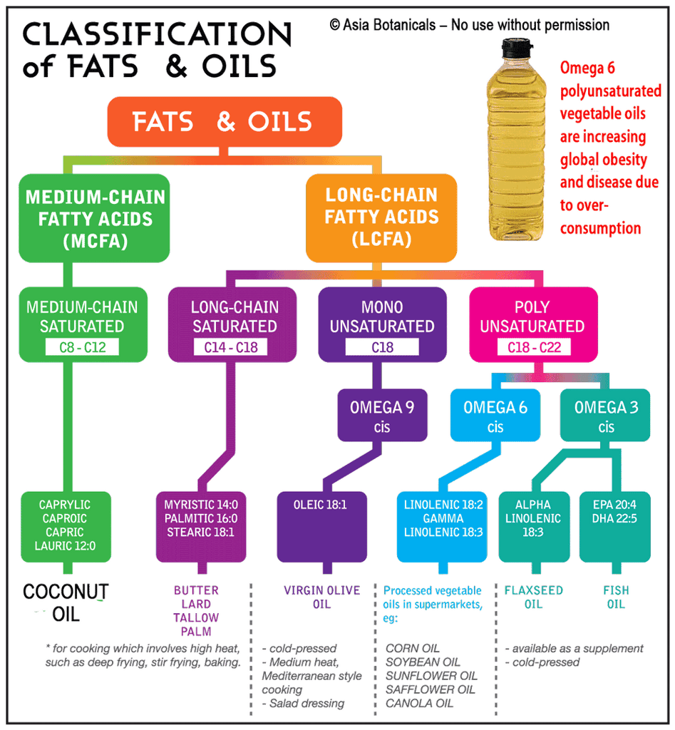 Rainforest Herbs Organic Coconut Oil - Odourless